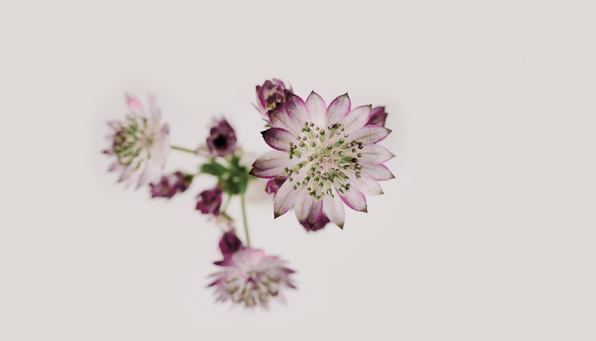 jt design | webdesign & content